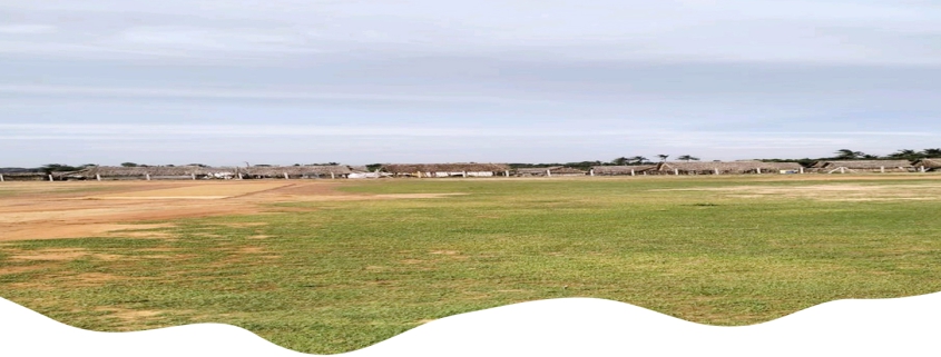 MCC Cricket Academy